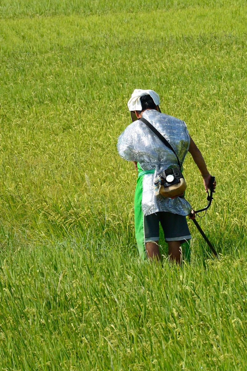 熱中症対策 | GANREF