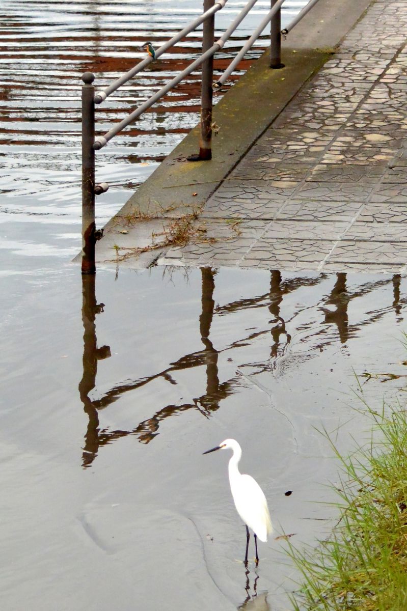 ツーショット | GANREF