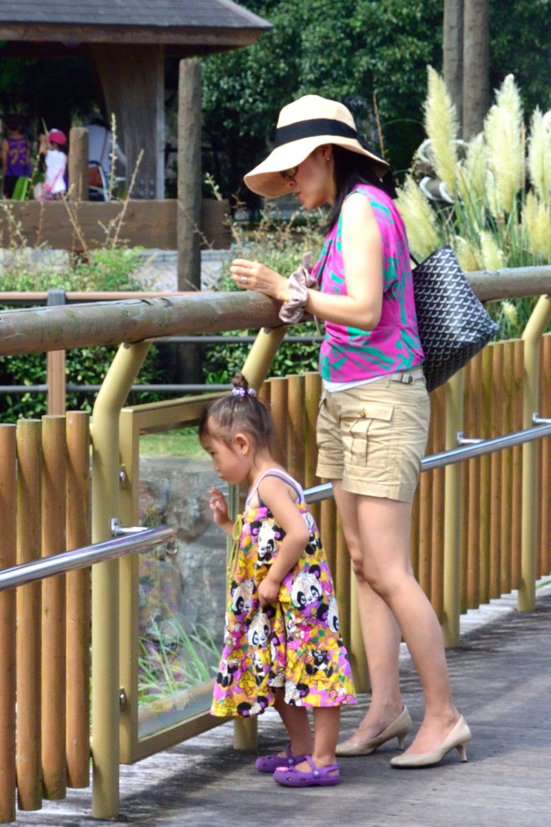 トロピカルモード | GANREF