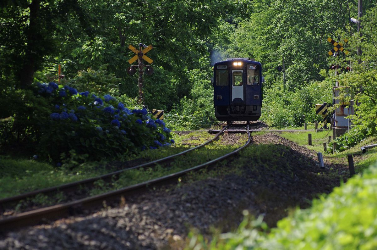 内陸線の四季190 | GANREF