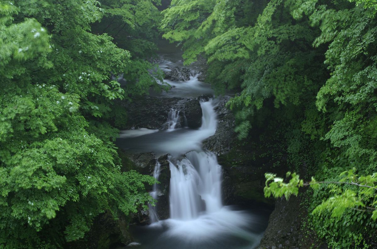 鳳鳴四十八滝 | GANREF