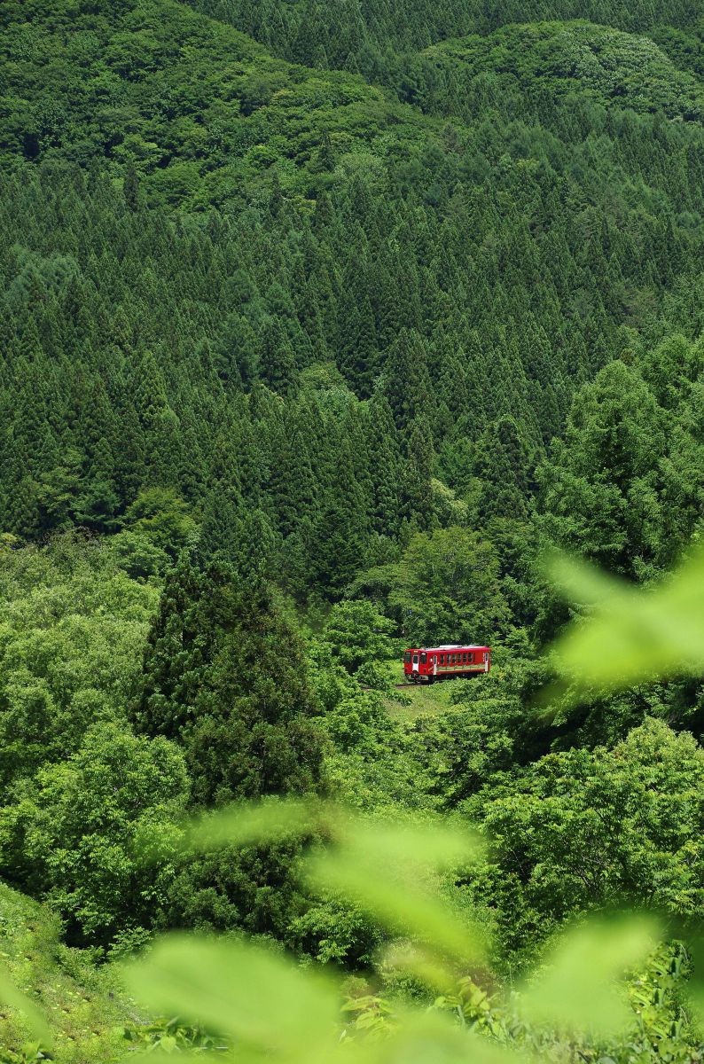 内陸線の四季182 | GANREF