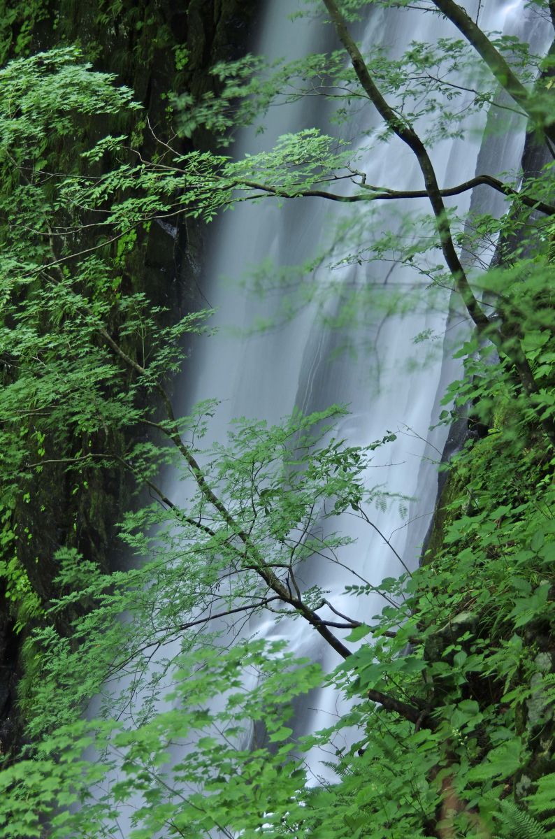 夏の滝巡り ⑩ | GANREF