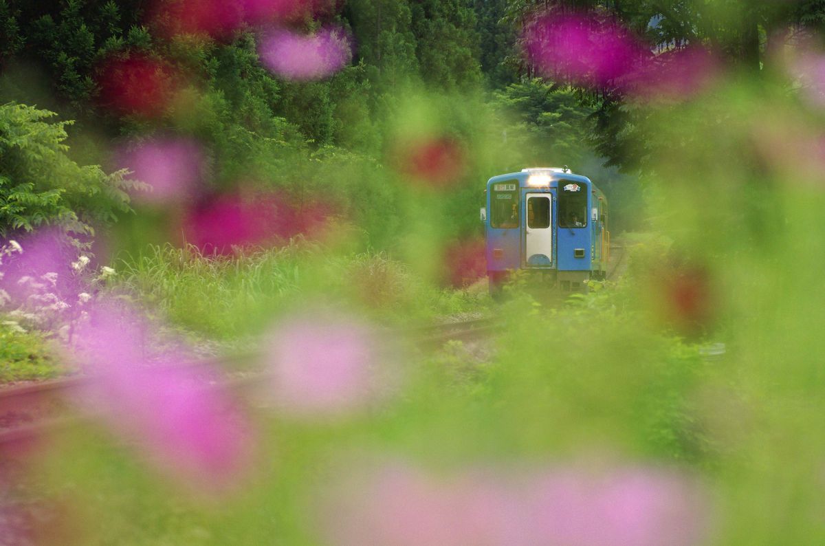 内陸線の四季196 | GANREF