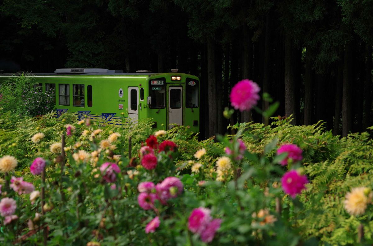 内陸線の四季198 | GANREF