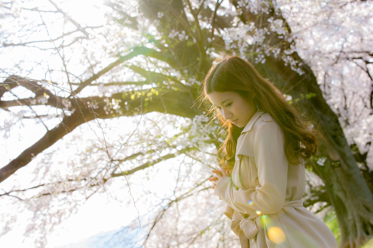 君と桜。 | GANREF