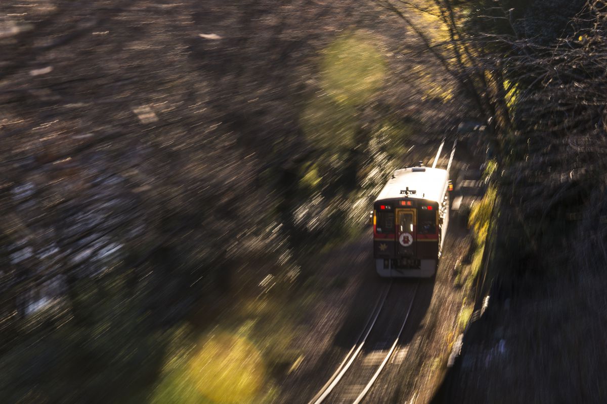 テーマss1/2で捕獲② | GANREF