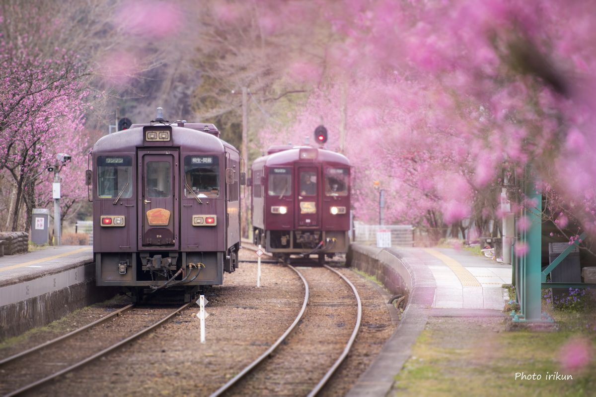 交換列車 | GANREF