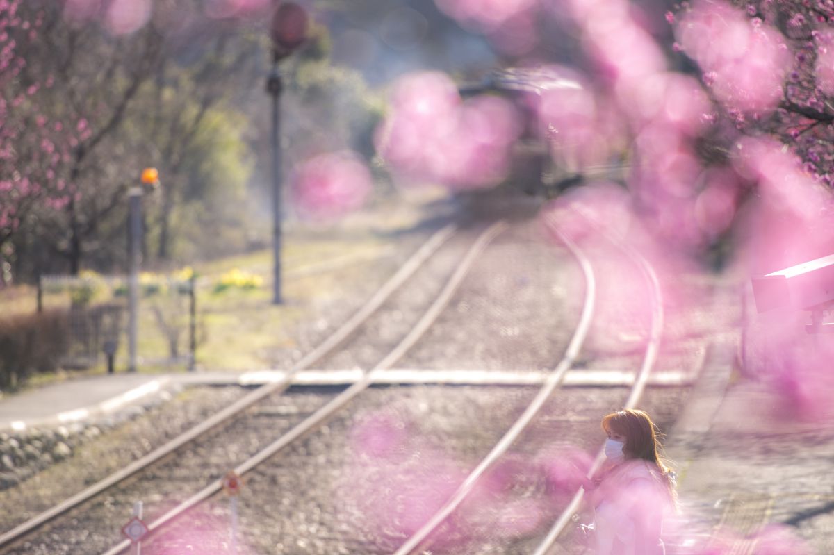 春の訪れ | GANREF