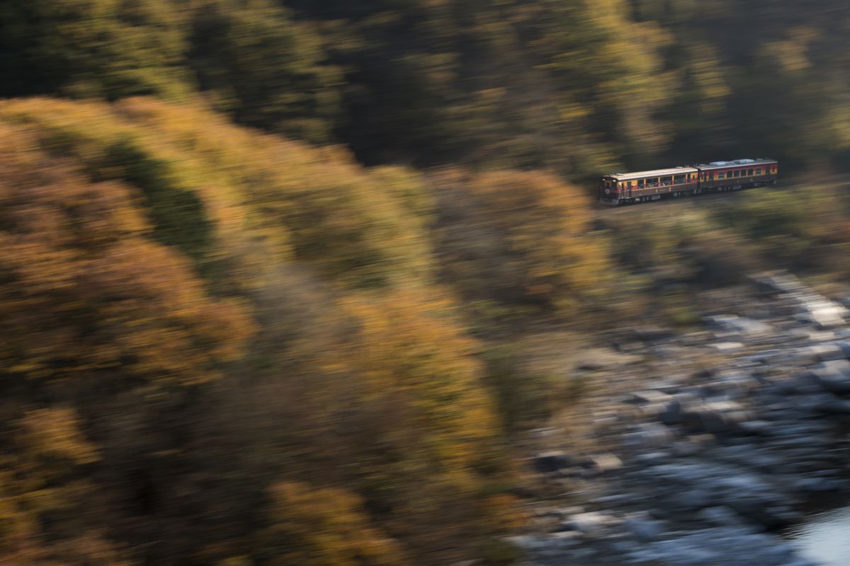 SS1/2で撮ってみました | GANREF