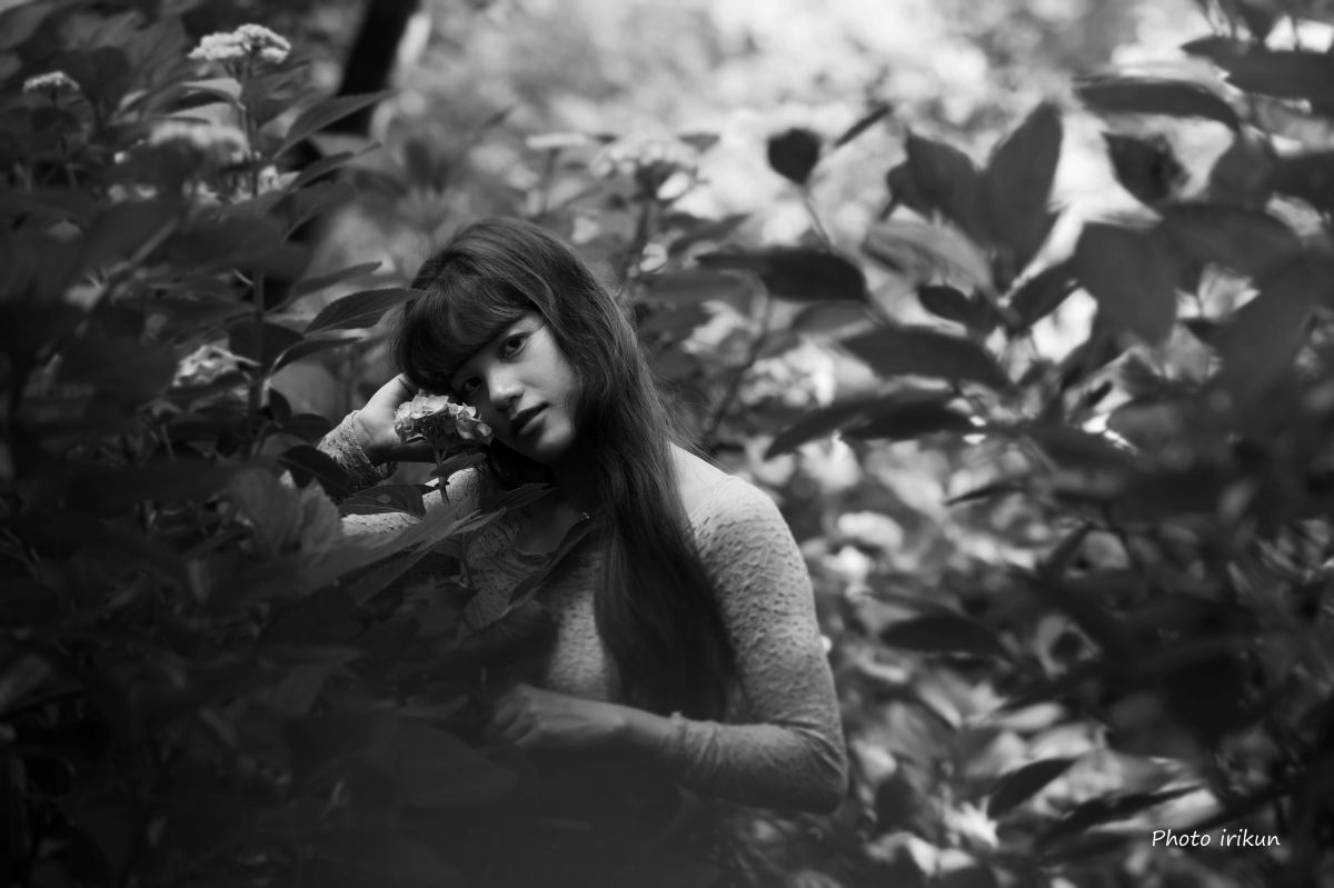 鉄道を撮らない日2 | GANREF