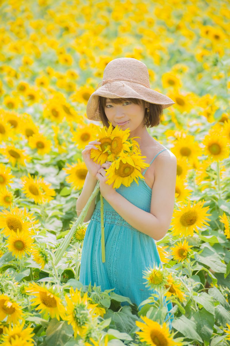 ひまわり Kaori 2 | GANREF