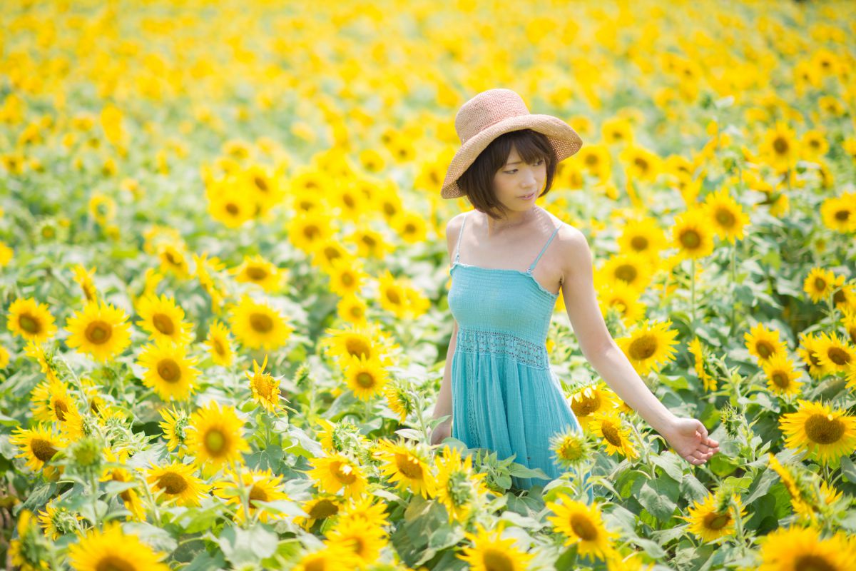 ひまわり Kaori | GANREF