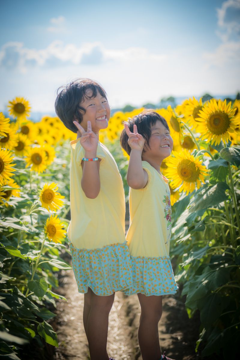 ピース！ Meri Rise | GANREF