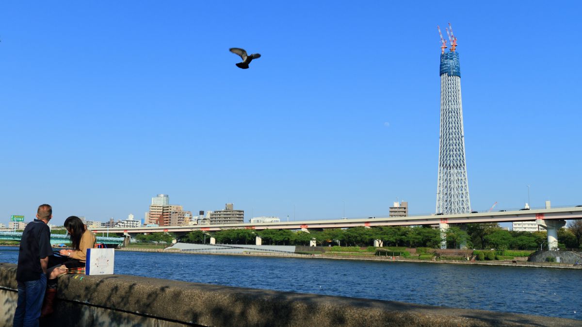 SKY TREE : Apr 25th | GANREF