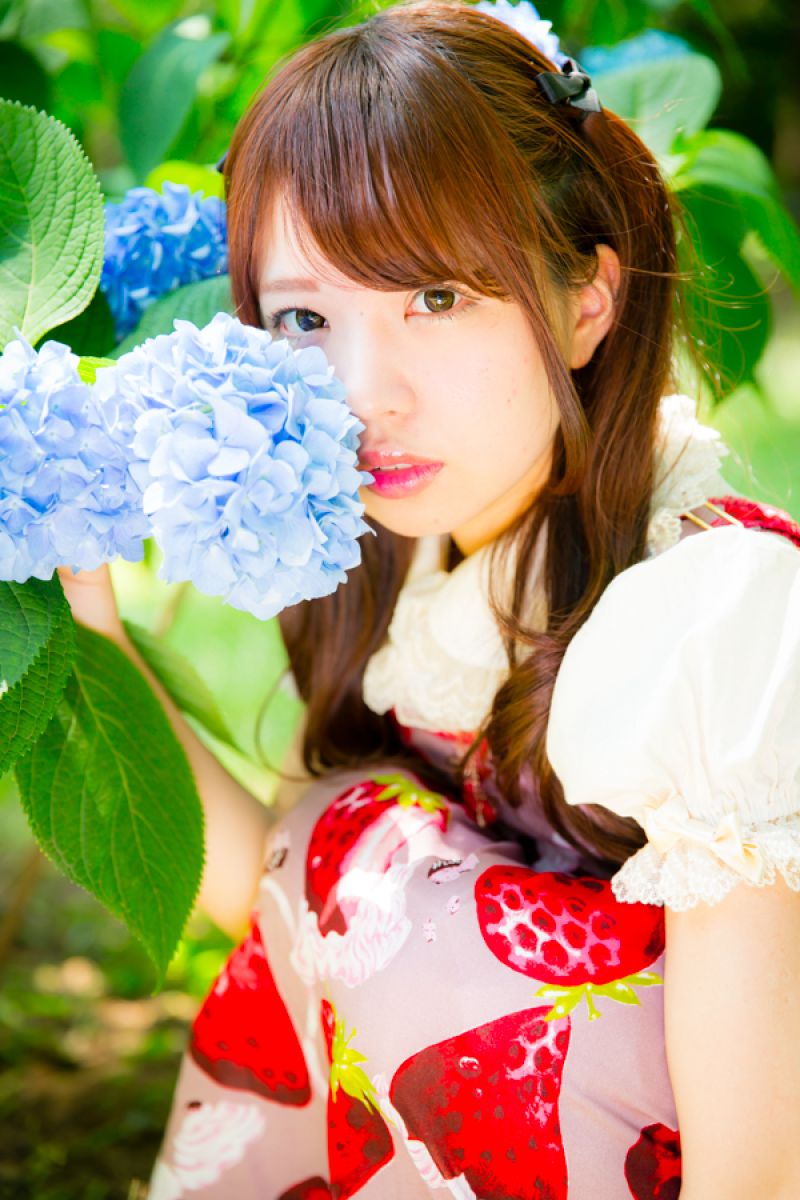 2015 あじさいはじめました | GANREF