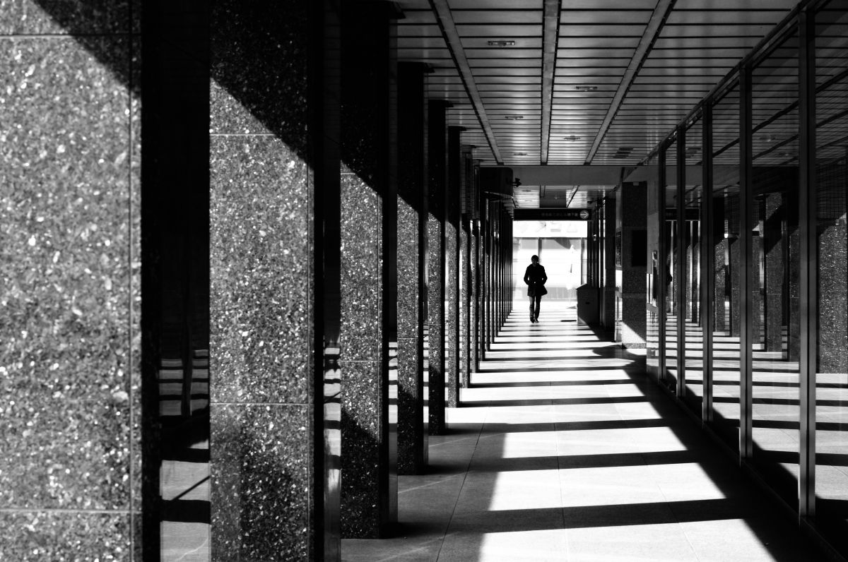 regular line | GANREF