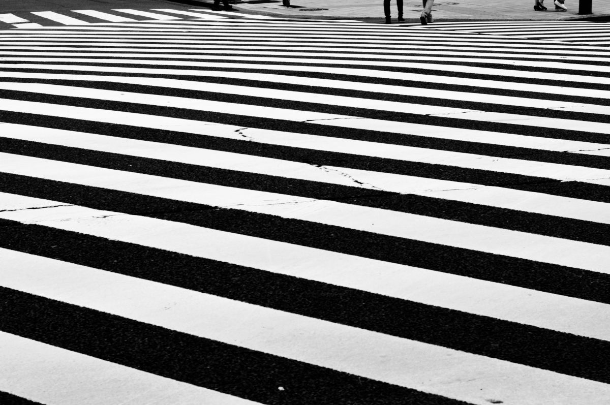 ZEBRA STREET | GANREF
