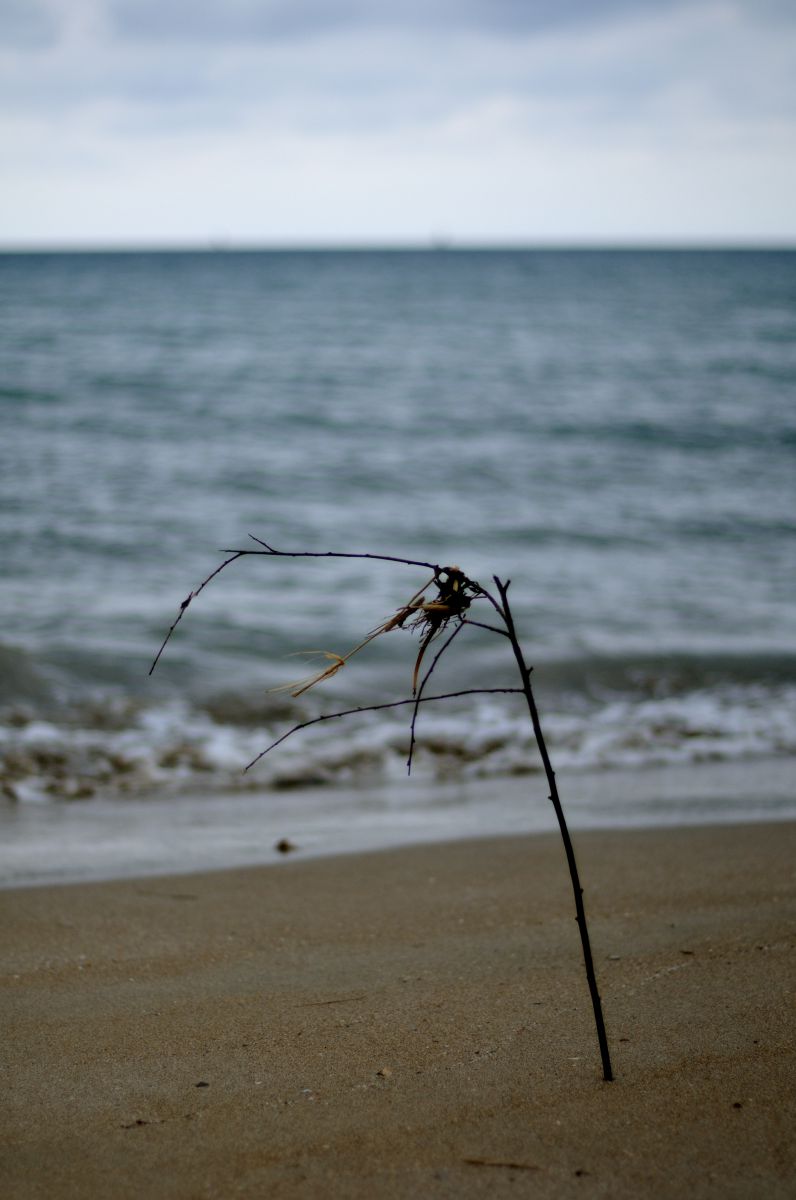 Beach of cloudy sky | GANREF