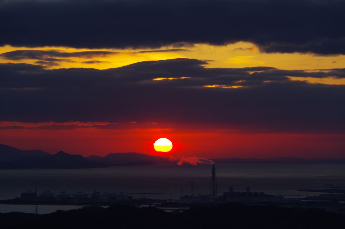 太陽にほえろ | GANREF