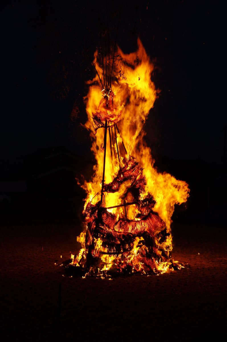 FIRE DRAGON | GANREF