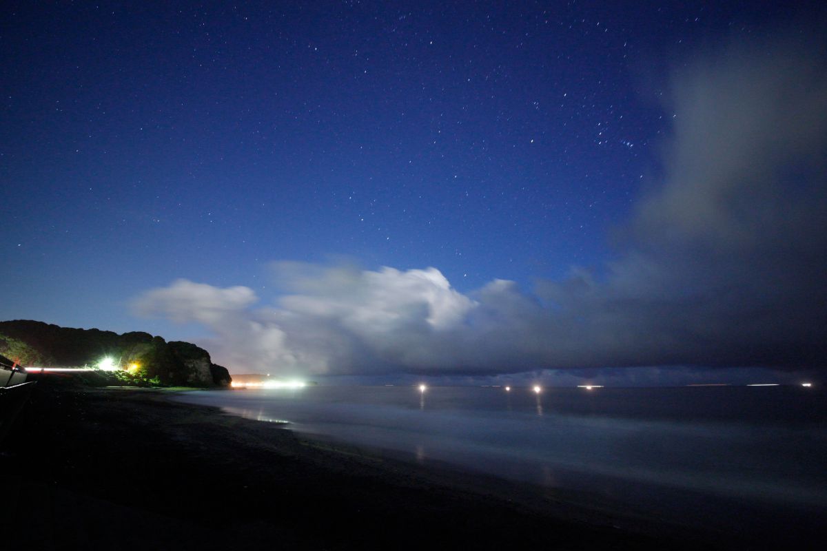 Dawn Chorus | GANREF