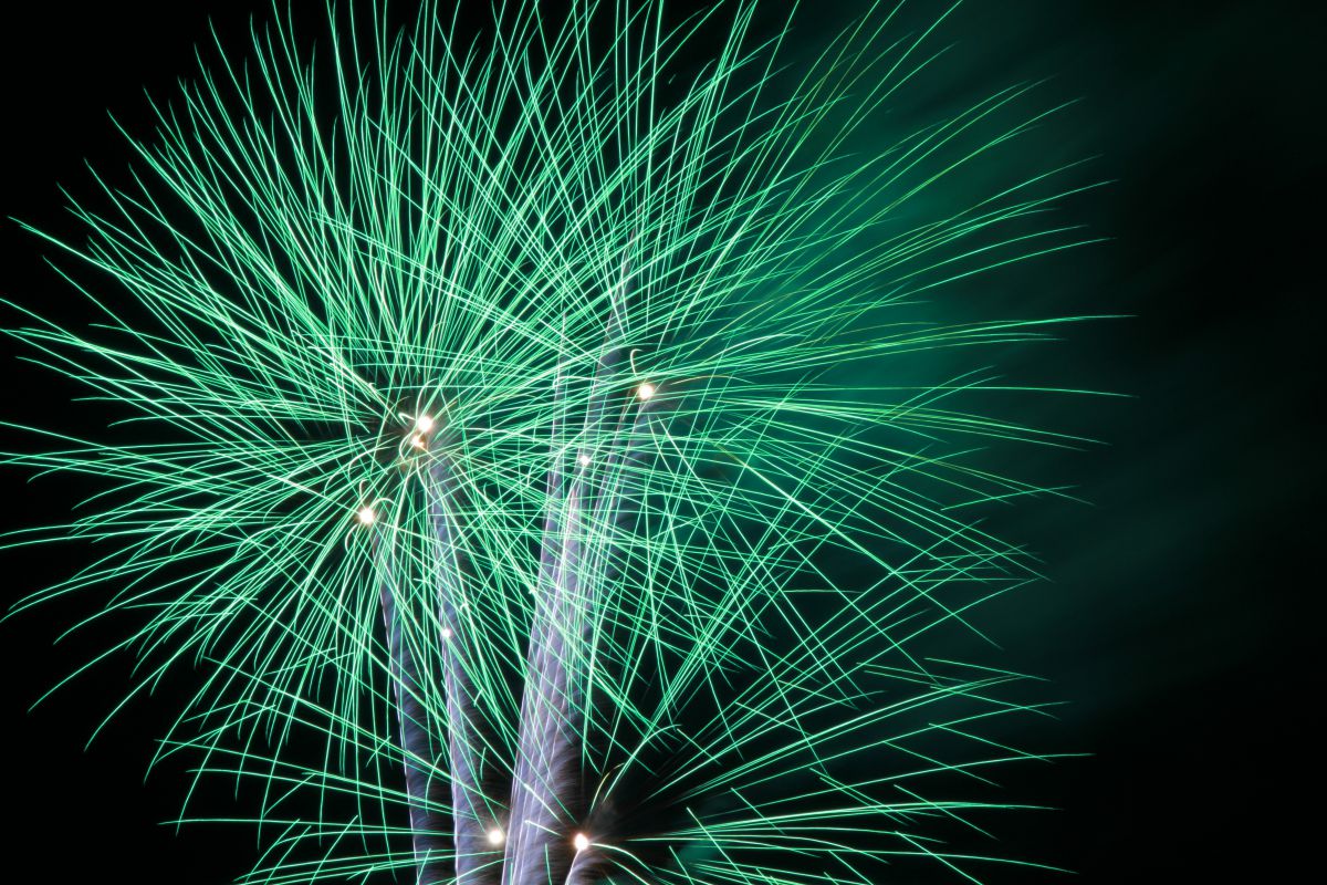 2011 HANABI その2 | GANREF