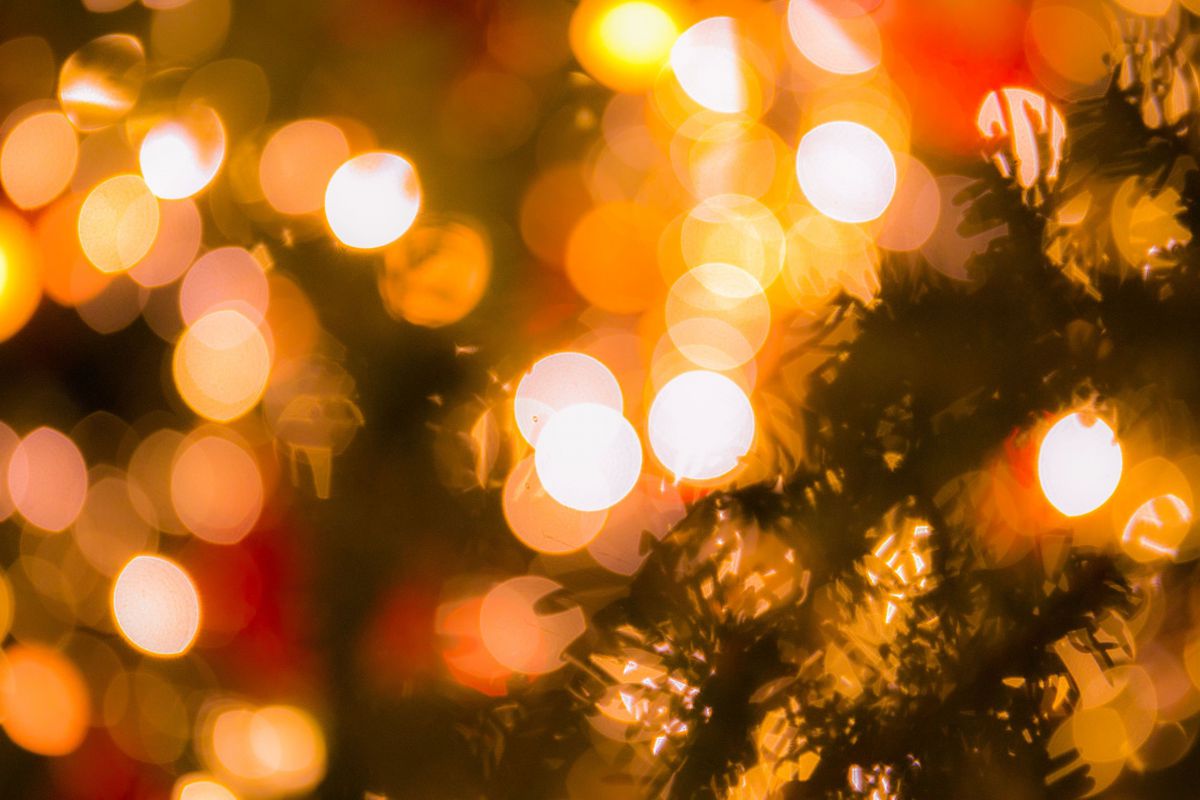 点灯式014.jpg | GANREF