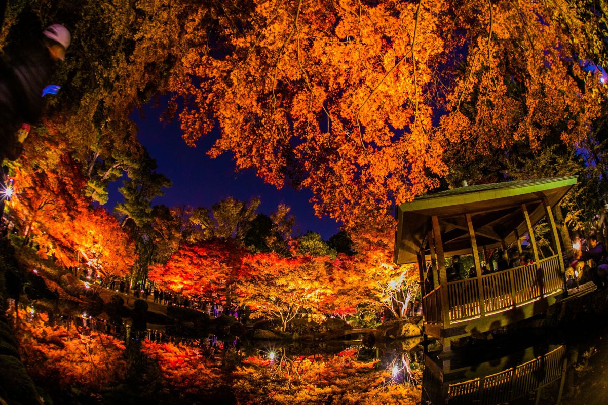 ライトアップ026.jpg | GANREF