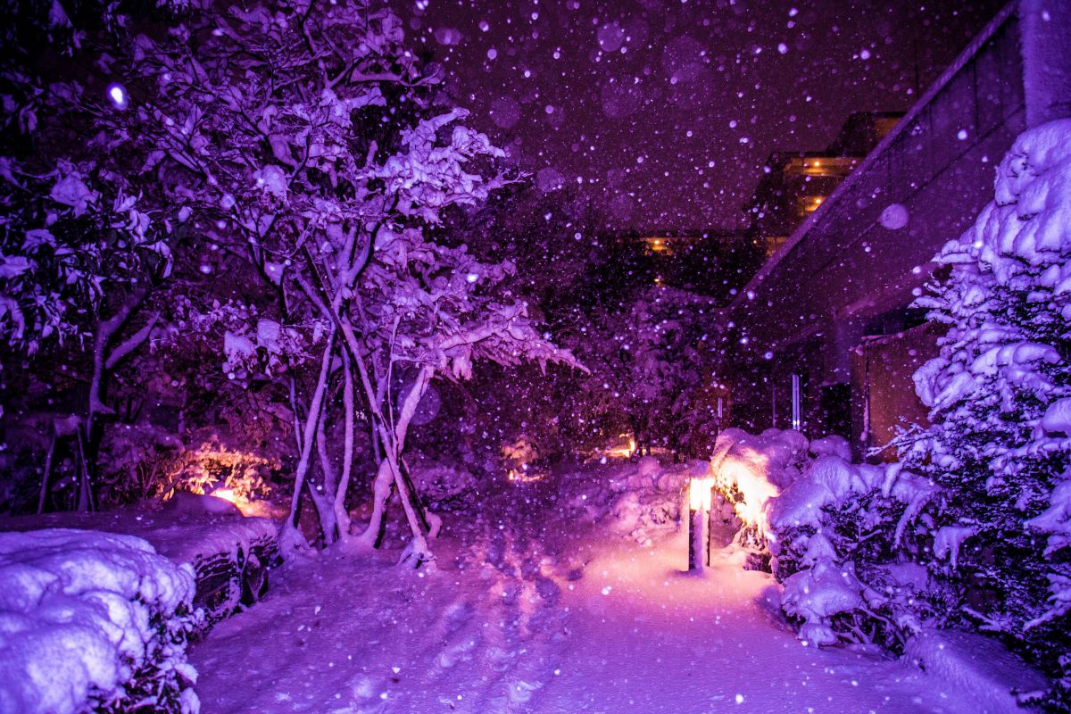 大雪019.jpg | GANREF