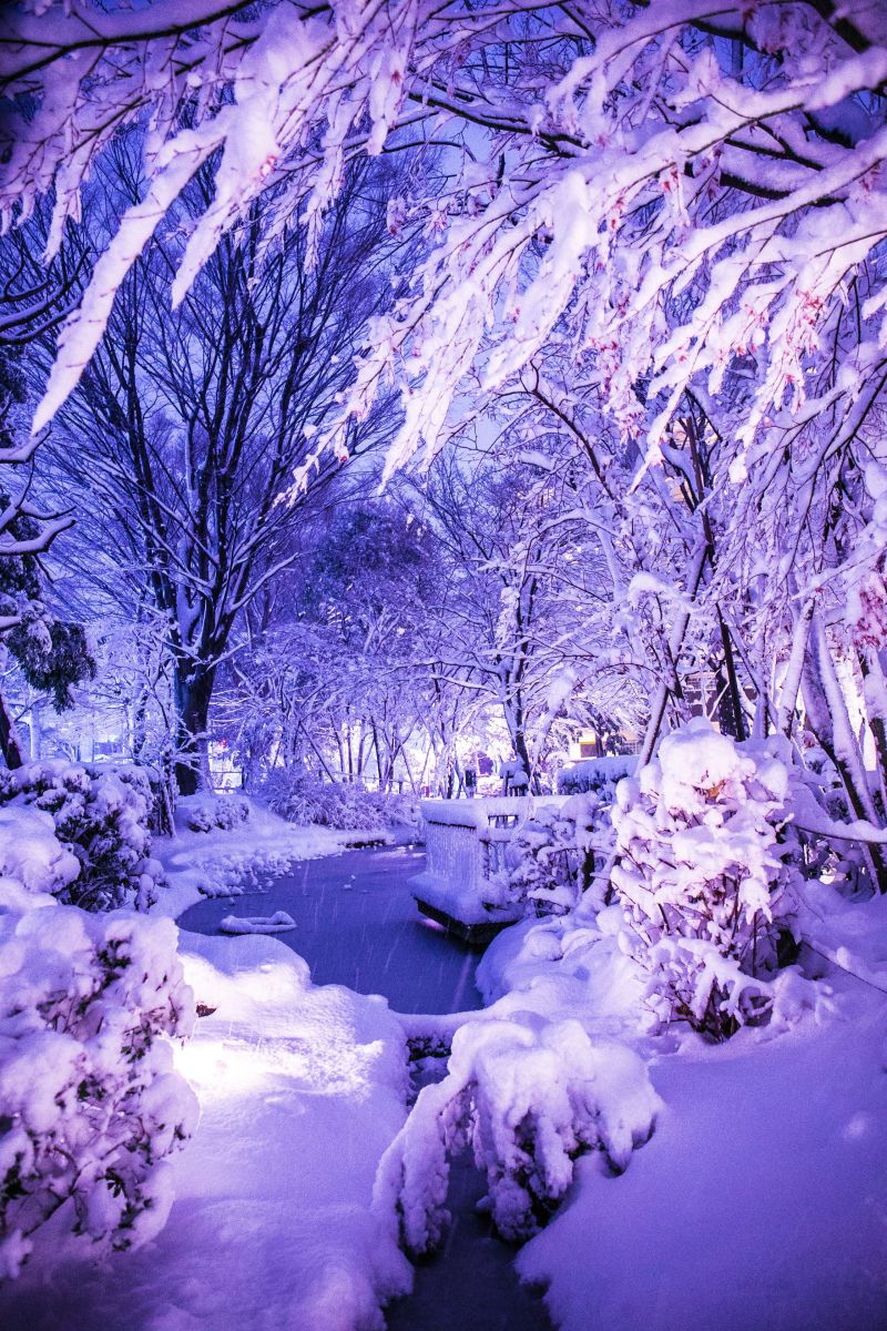 大雪032.jpg | GANREF