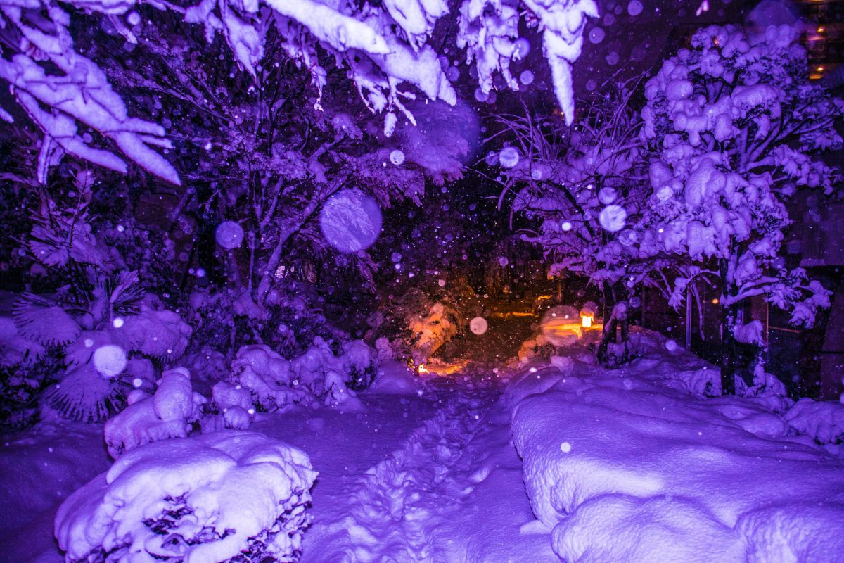 大雪021.jpg | GANREF