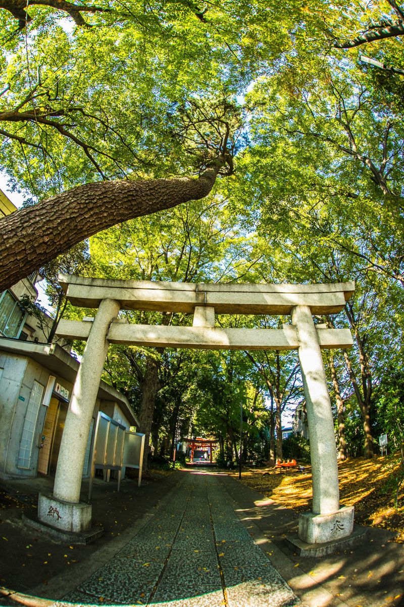 神社002.jpg | GANREF