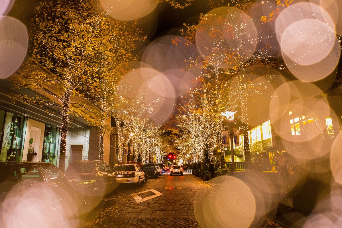 ライトアップ001.jpg | GANREF