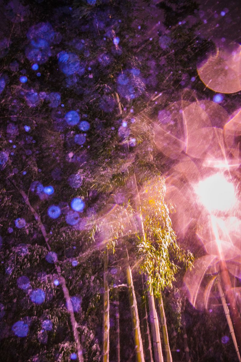 大雪024.jpg | GANREF