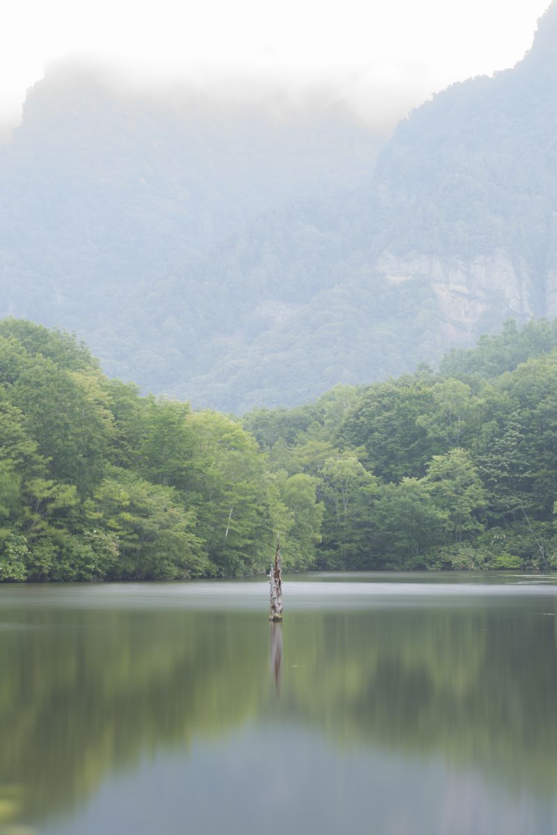 30病による時系列保存の実証 | GANREF