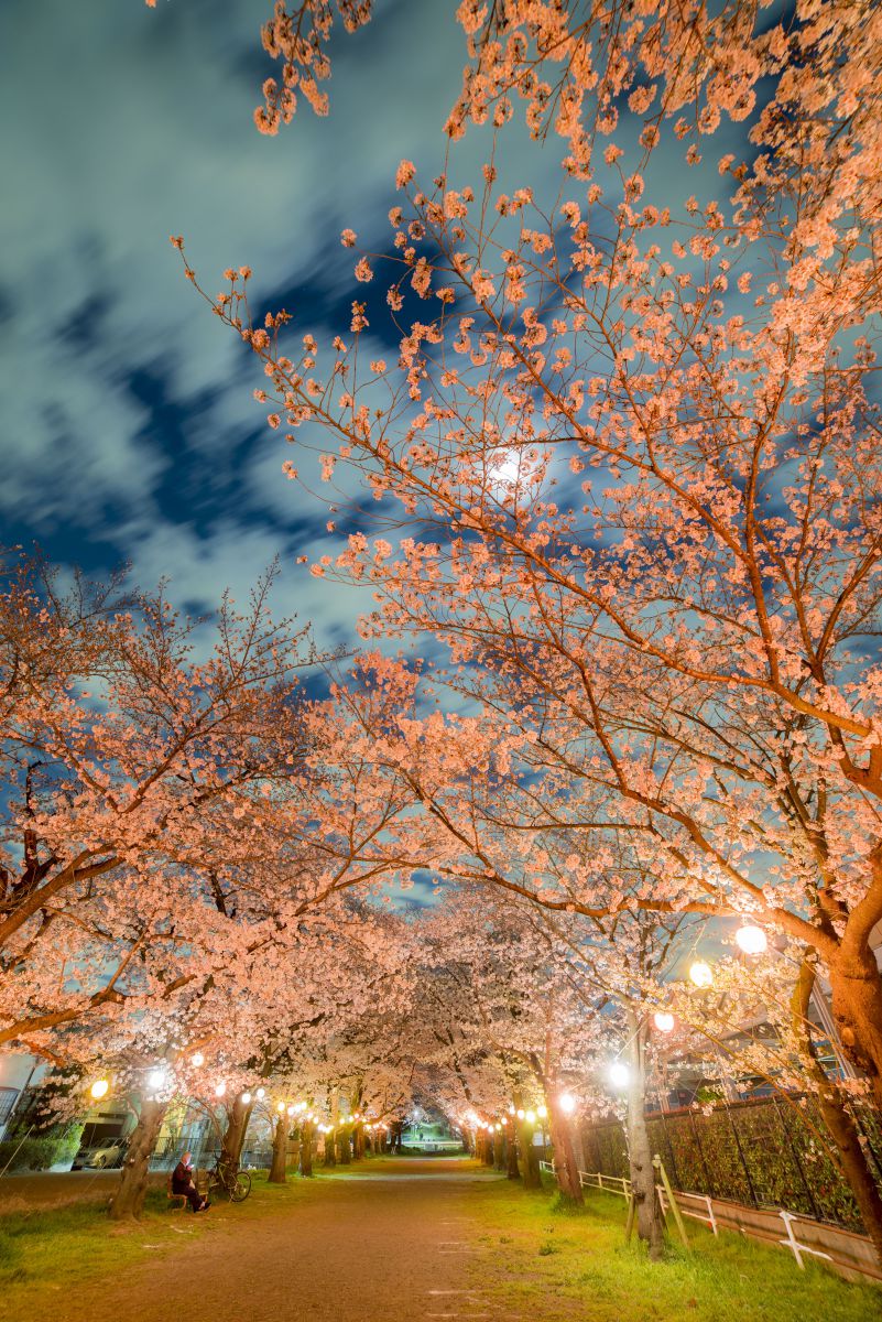 月がきれいですね | GANREF