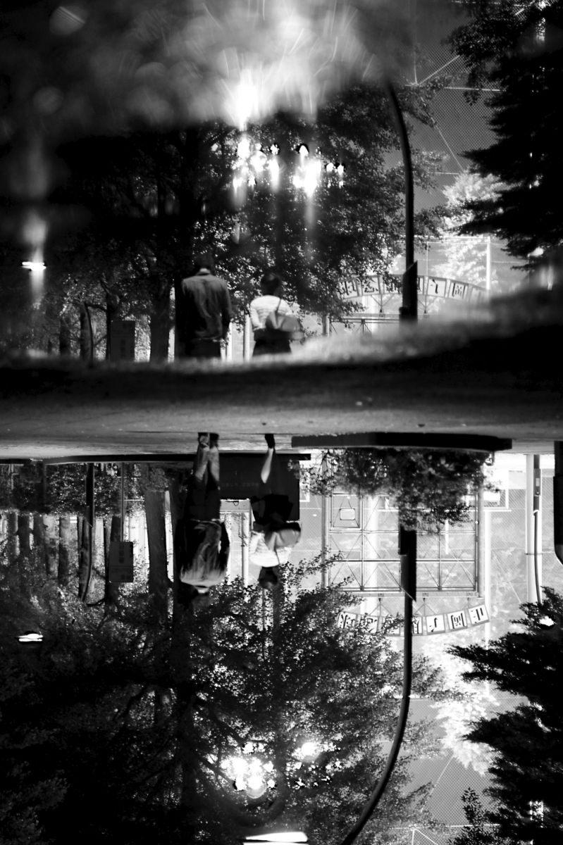 parallel world | GANREF