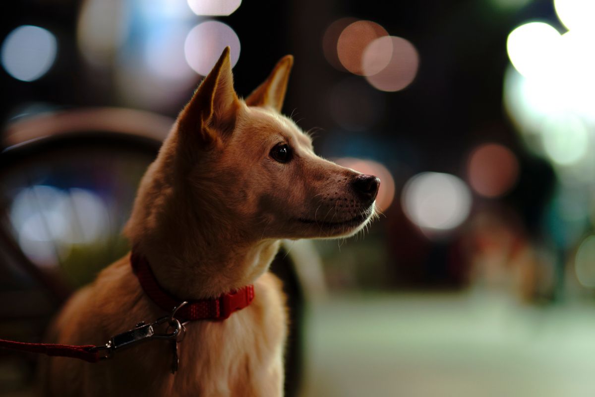 He is waiting for you | GANREF