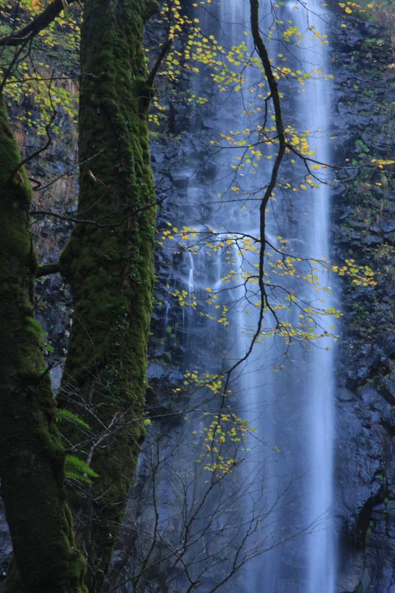 清音の秋色 | GANREF