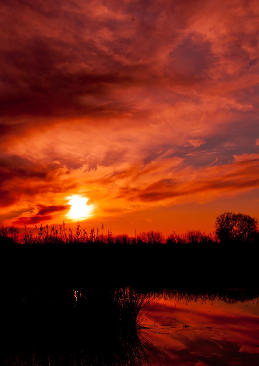 Red sky at dawn | GANREF