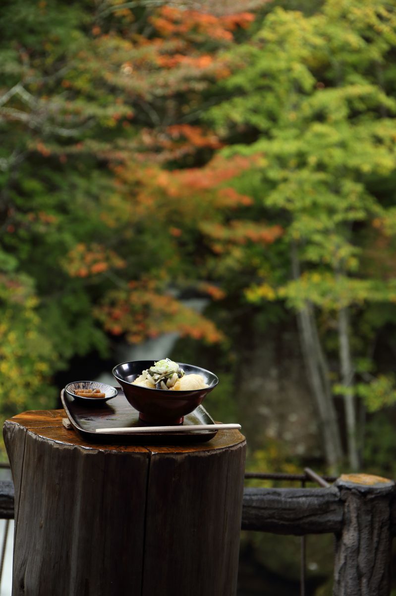 はいポーズ | GANREF