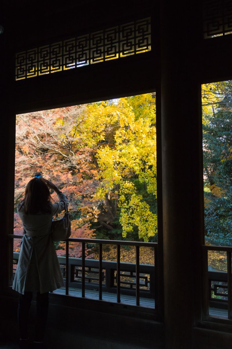 心深き人 | GANREF