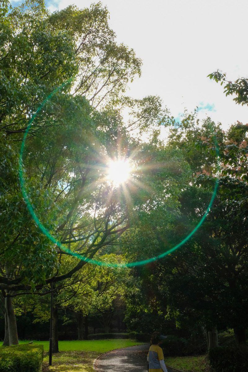 The Green Ghost | GANREF