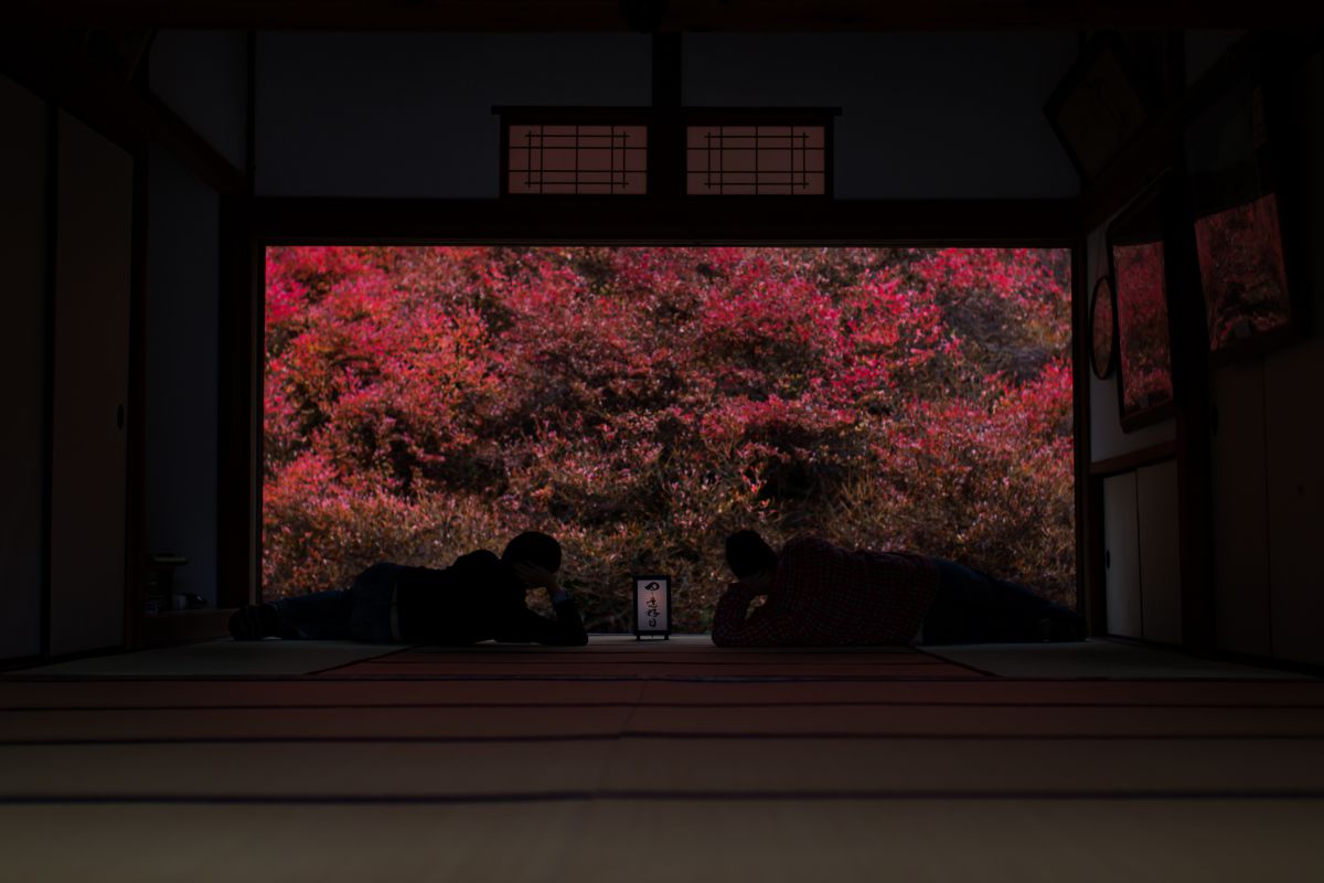 但馬安国寺Nov.18,2015 | GANREF