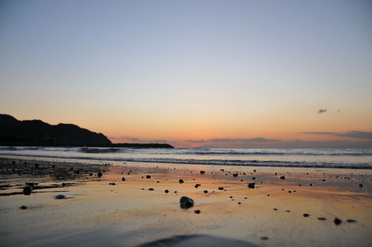 DSC_0113.jpg | GANREF