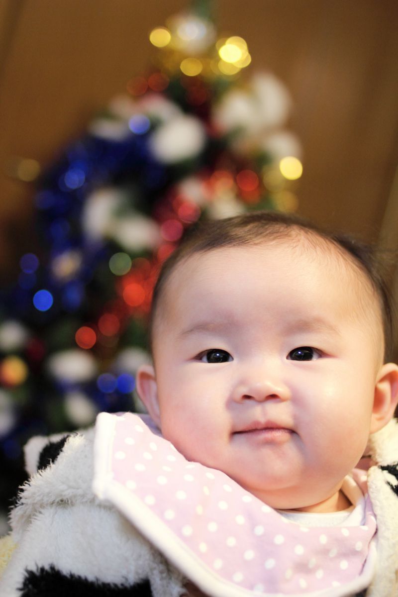 Happy Merry Christmas! | GANREF