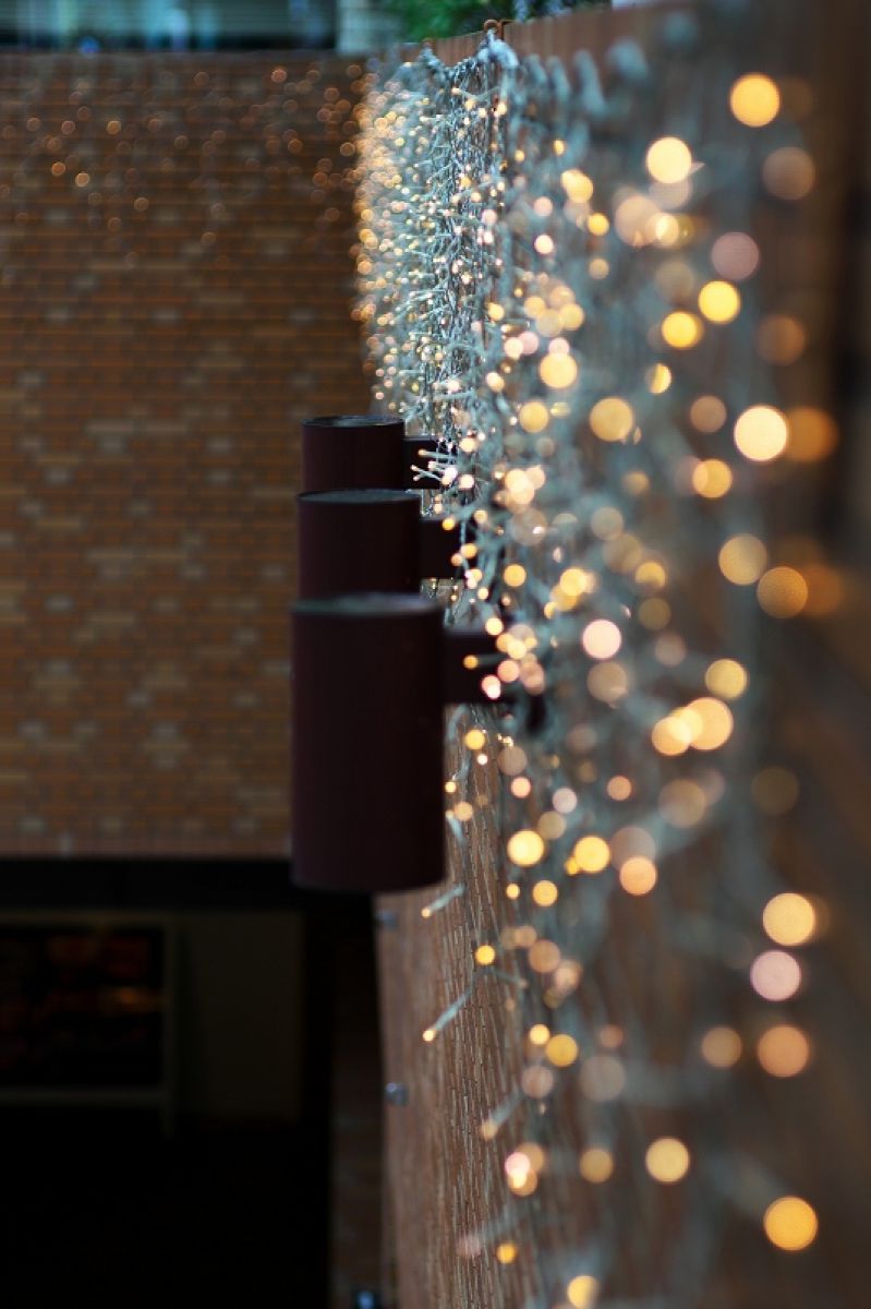 ミノルタ SOFT FOCUS 100mm F2．8の実力は・・・ | GANREF