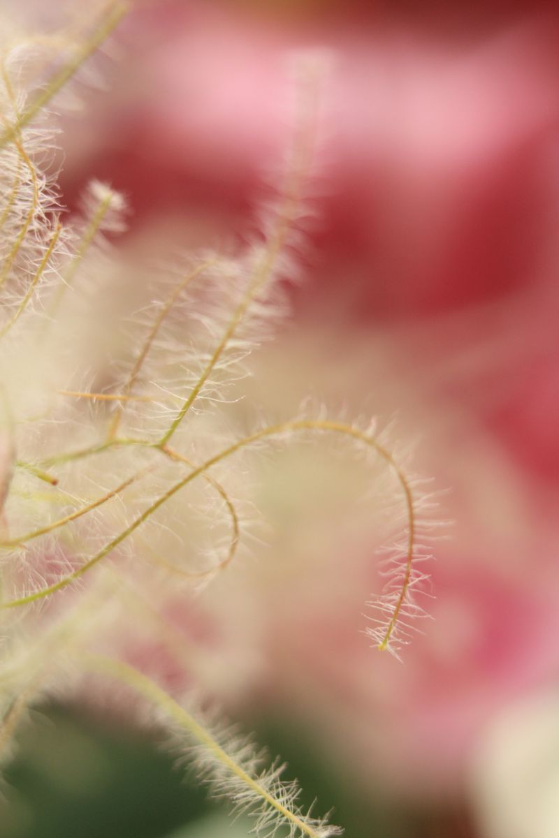 Another Tone | GANREF