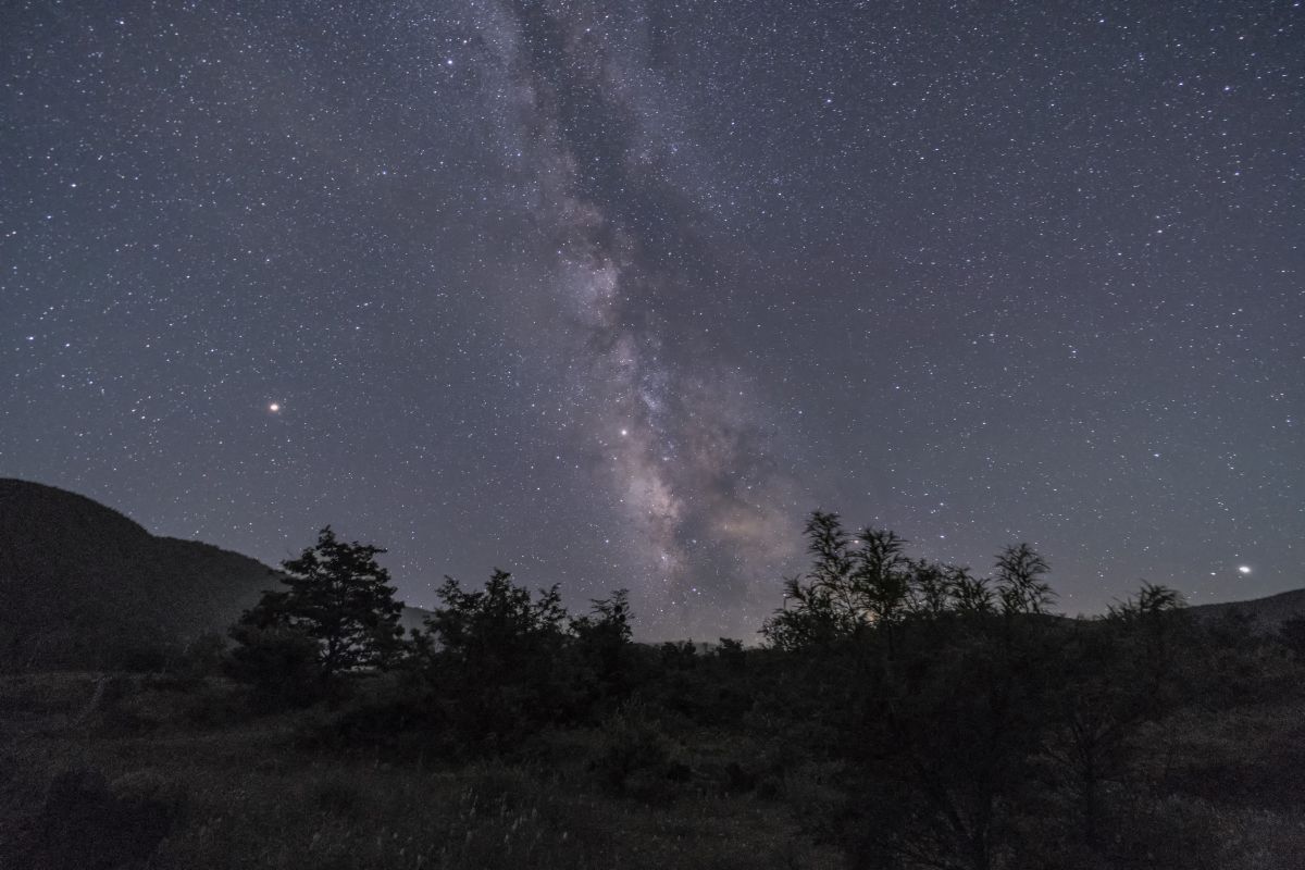 (試写)Samyang AF 14mm f2.8 | GANREF